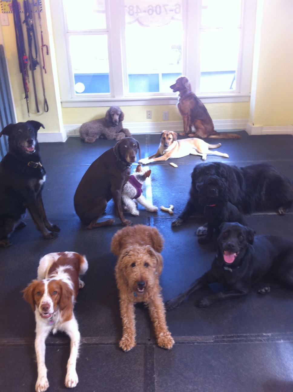 Webinars & Workshops