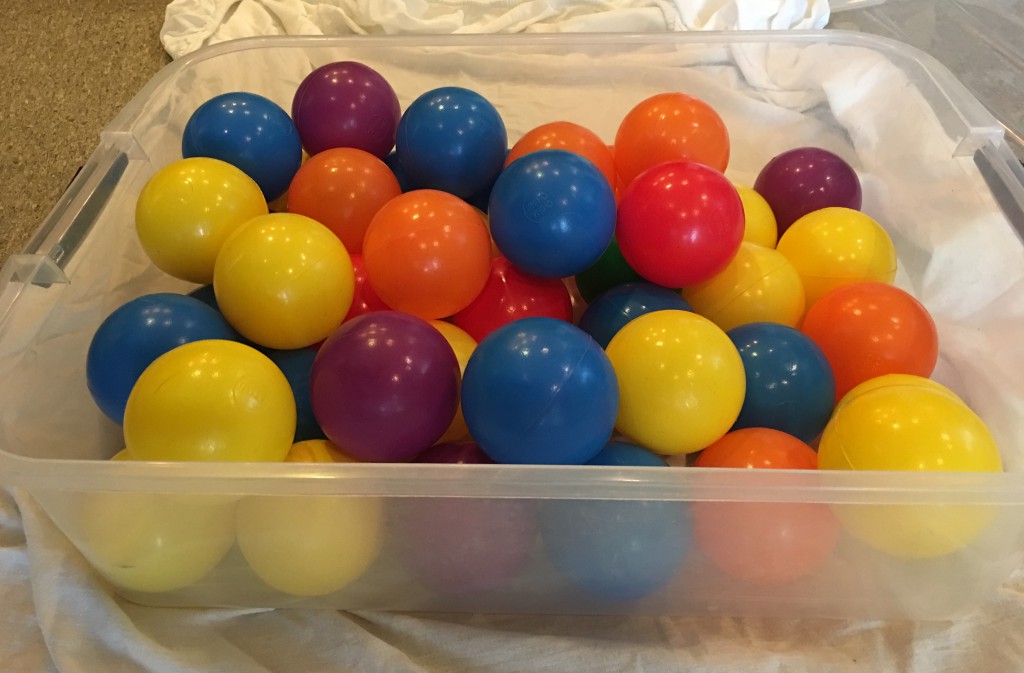 Creative Feeding and How to Stuff a KONG!